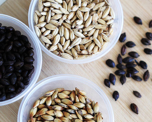 Grain – The Hop + Grain Brew Store